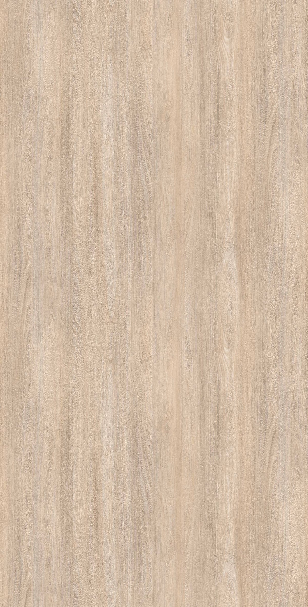 DWC 3656AT HPL EDL BOLZANO ELM