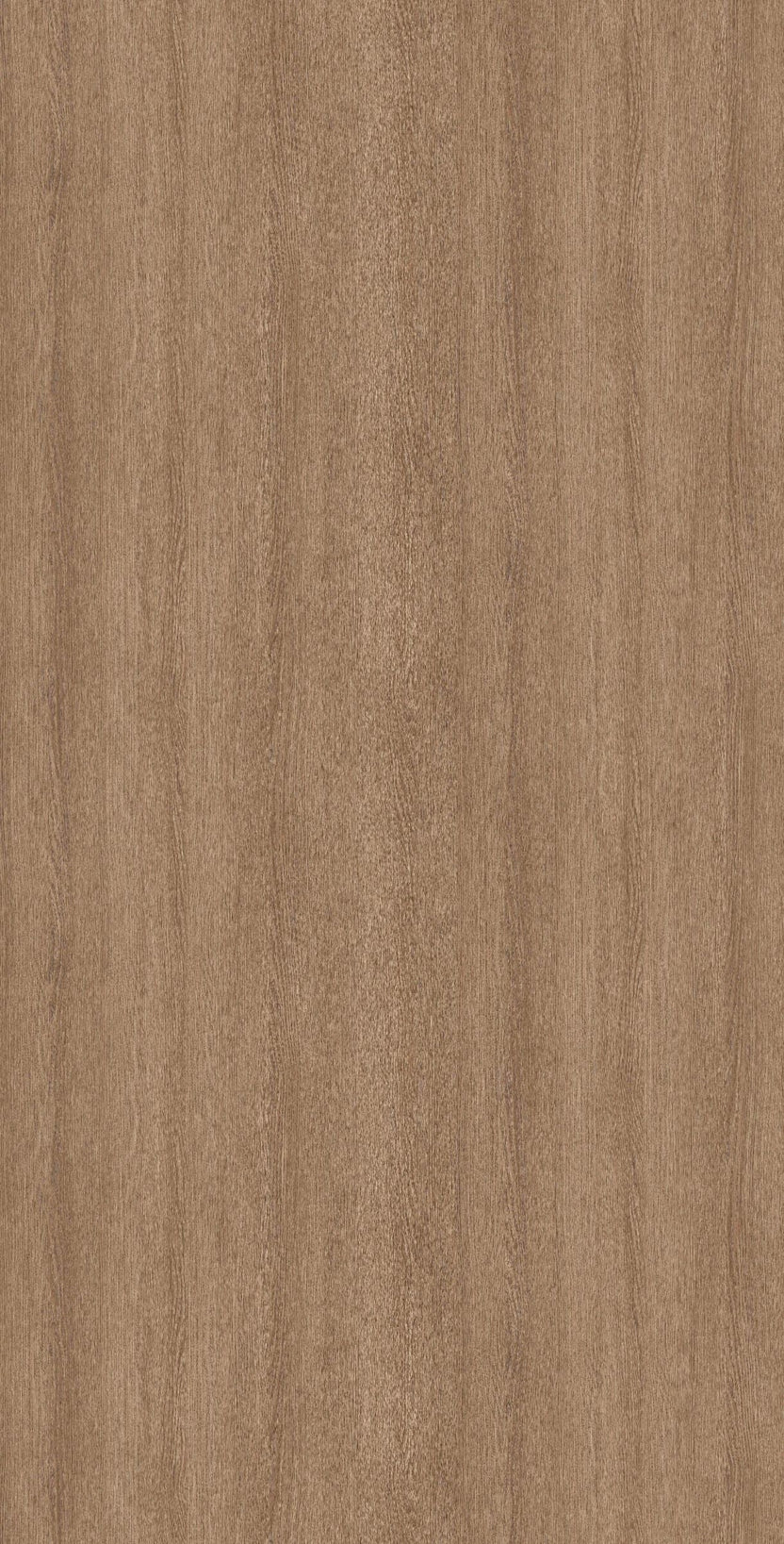 EWP 1646M HPL EDL VIENNA ASH